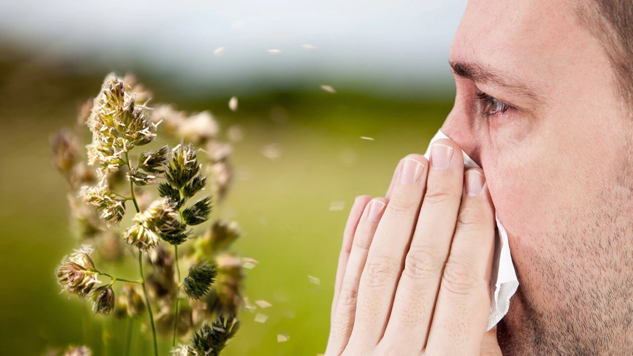 Heuschnupfen: Die 8 besten Mittel gegen Pollenallergie im Test