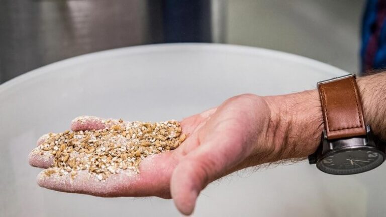 Bier selber brauen: Schritt für Schritt Anleitung für Anfänger